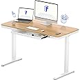 Amazon.com: FLEXISPOT Comhar Electric Standing Desk with Drawers ...