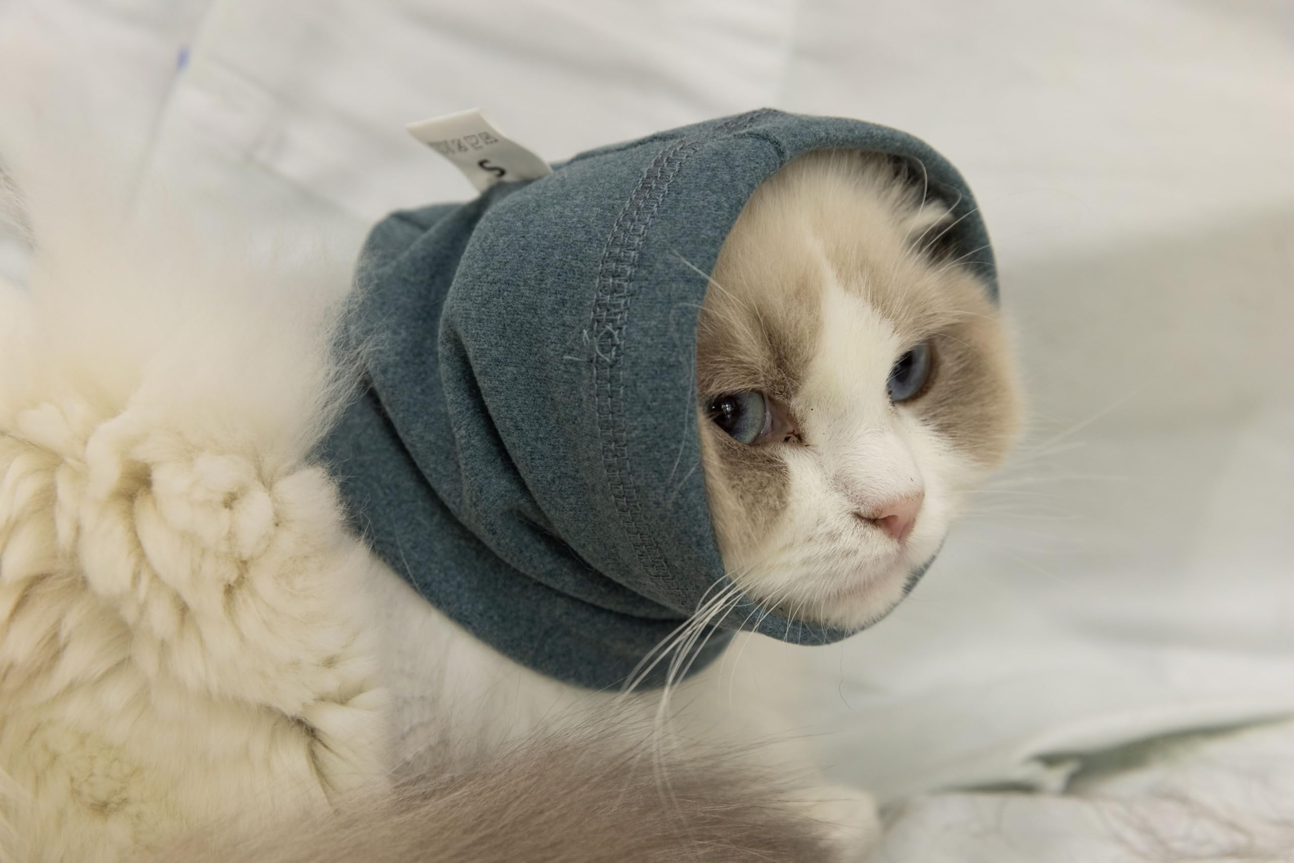 DDFS Cat Snood Ear Flap Hat No Flap Ear Wrap Protectors Anxiety Relief ...