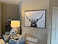 Amazon.com: Signature Design by Ashley A8000258 Pancho Wall Art, Black ...