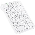 iClever KP08 Wireless Numeric Keypad, 22 Keys Bluetooth Number Pad Portable Number Keyboard, USB ...