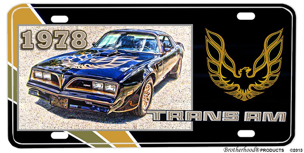 Amazon.com: BrotherhoodProducts 1978 Pontiac Trans Am Aluminum License ...