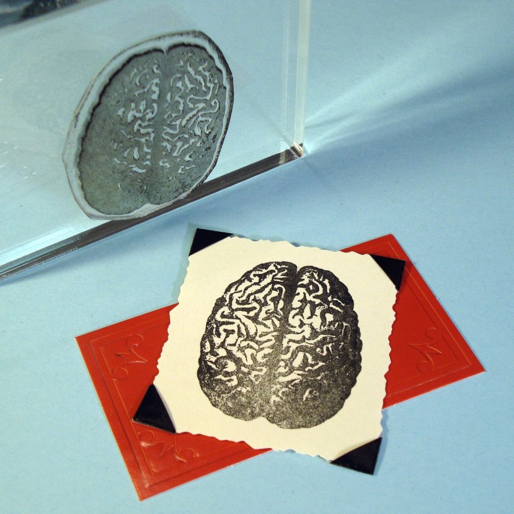 Amazon.com: Human Brain Stamp, clear polymer cling 2"x1.5", includes ...