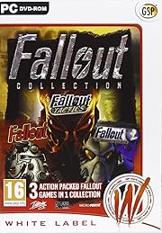 Sample Chosen One character profile - Fallout 2 video game - Writeups.org