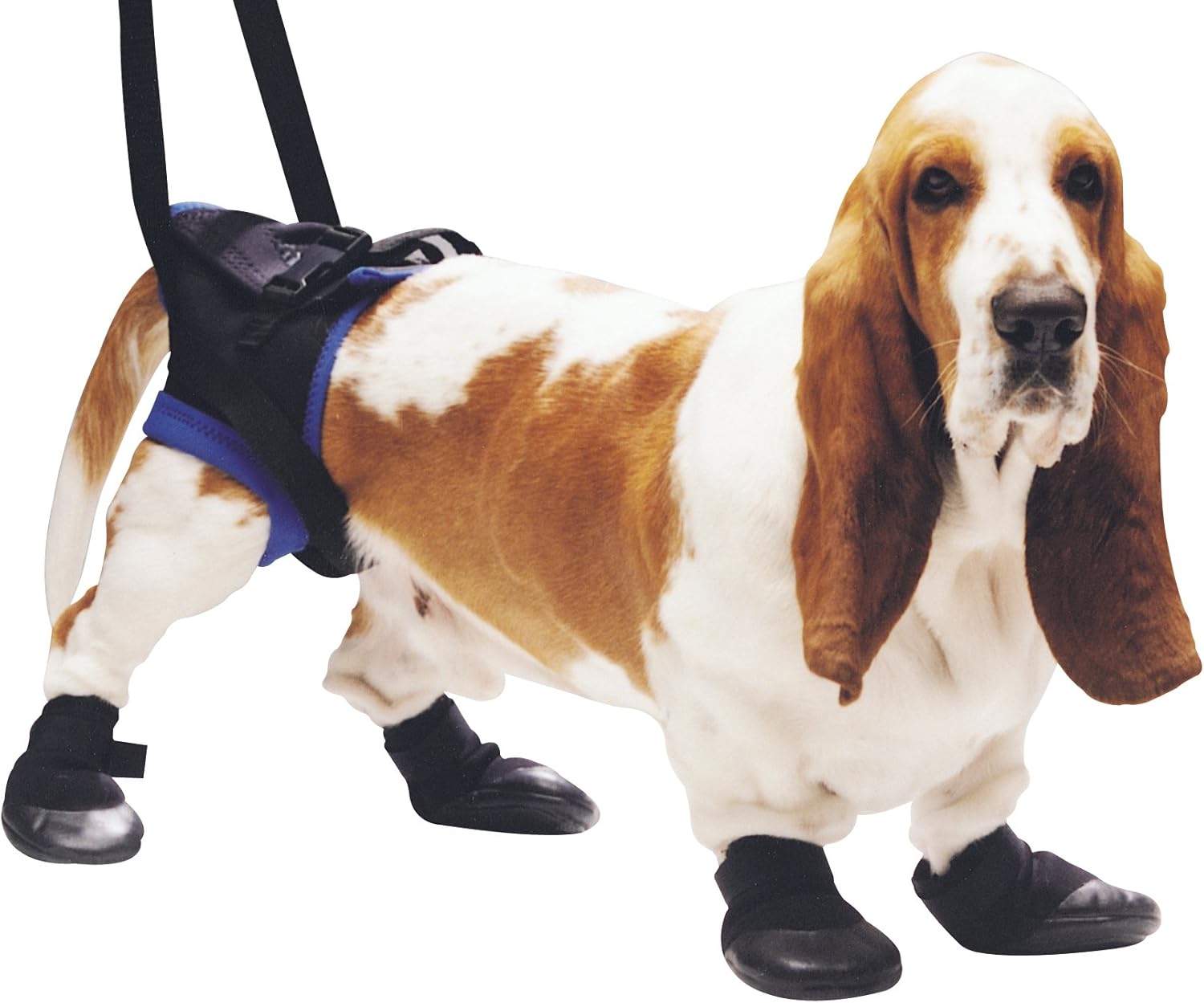 Walkabout Back End Support Harnesses Walkabout Support Lift For Dogs ...