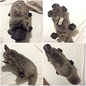 Amazon.com: Folkmanis Baby Platypus Hand Puppet: Toys & Games