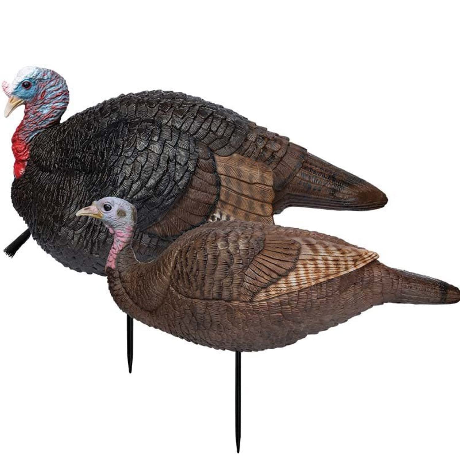 Primos Hunting Lil Gobstopper Hen and Jake Combo Decoy Light-Weight ...