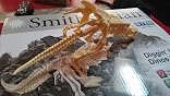 Amazon.com: Smithsonian Electronic Crystal Growing 35x23 inch : Toys ...