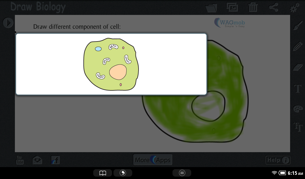 Draw Biology (Kindle Tablet Edition): Amazon.com.au: Appstore for Android