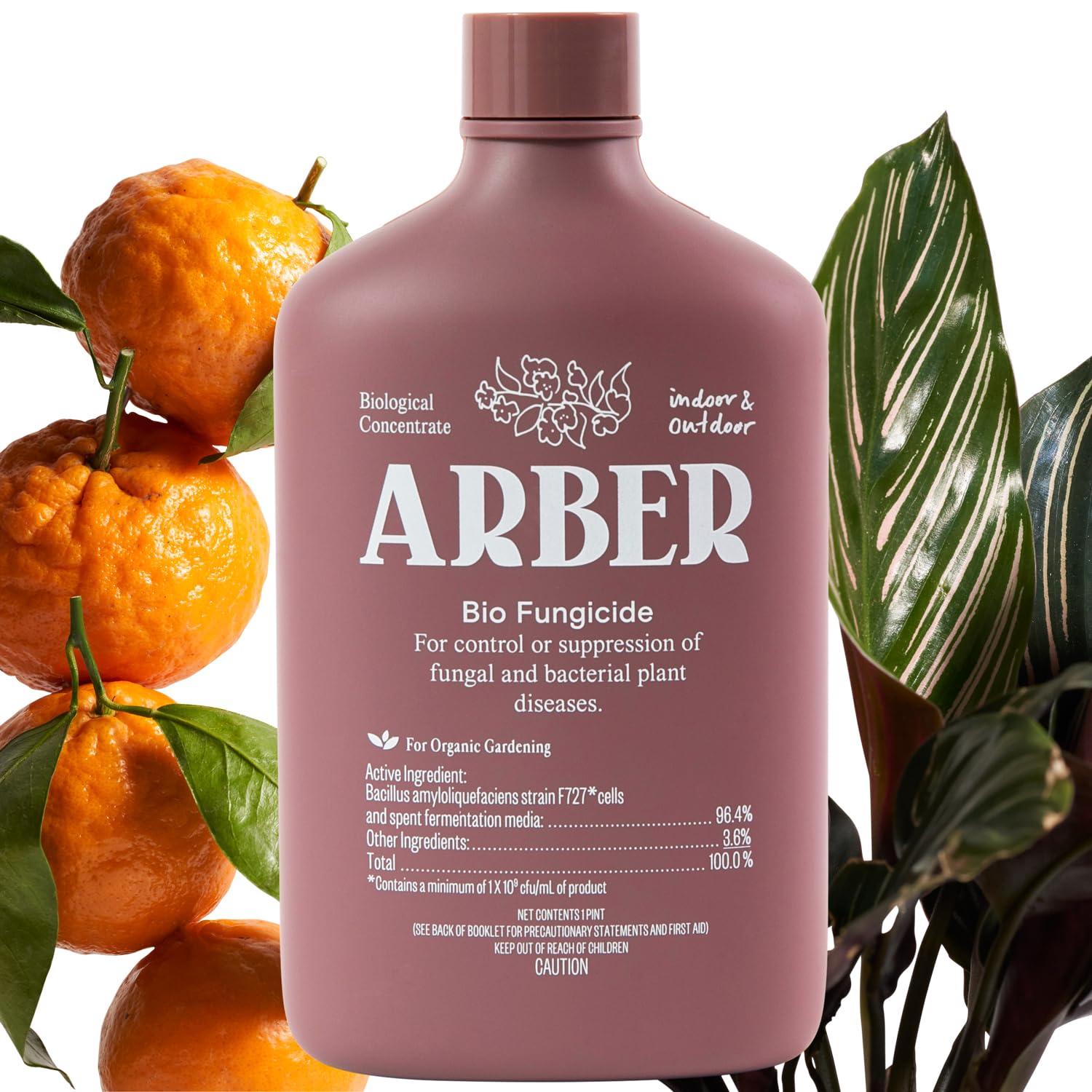 Mua Arber Organic Liquid Concentrate for Indoor and House Plants ...
