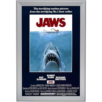Amazon.com - 27x41 Simply Poly Poster frame (Black)