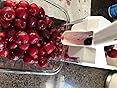 Amazon.com: Leifheit Cherry Pitter with Stone Catcher Container ...