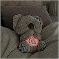 Amazon.com: The Relief Koala Sleeping Plush Breathing, Koala Breathing ...