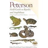 A Field Guide to Reptiles and Amphibians: Eastern and Central North ...