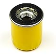 Amazon.com : Briggs & Stratton 795990 Oil Filter : Lawn And Garden Tool ...