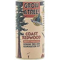 Amazon.com : Coast Redwood | Tree Seed Grow Kit | The Jonsteen Company ...