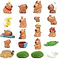 Amazon.com: NIBERDA 20 pcs Mini Capybara Figurines, Resin Tiny Capybara ...