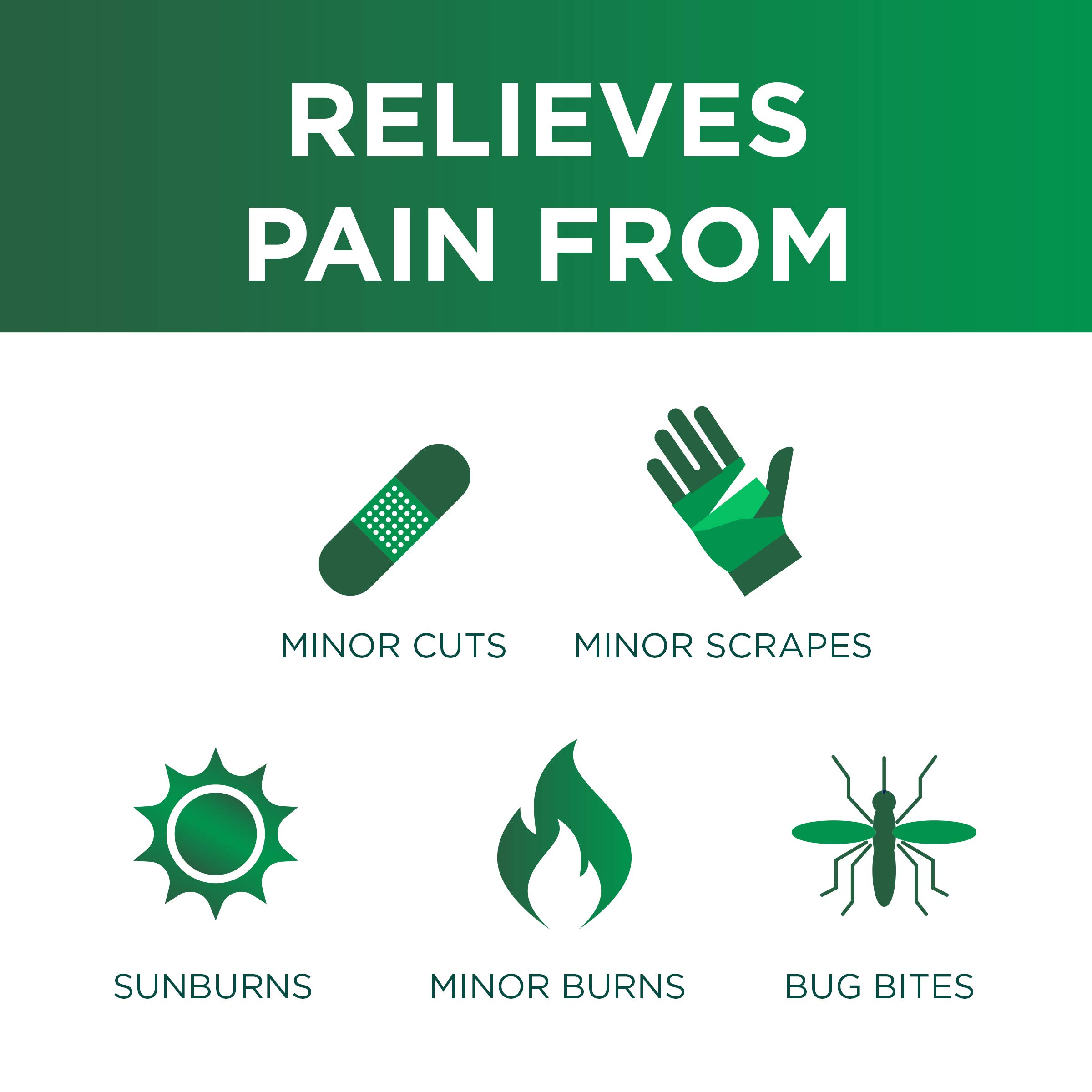 Mua Dermoplast Insect Itch and Sting Pain Relief Spray for Bug Bites ...