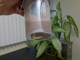 BlenderBottle Classic Loop Top Shaker Bottle, Clear Black, 28-Ounce ...