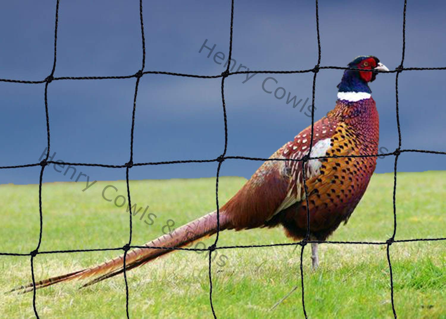 Bird Netting For the Garden/Top Pens 11' X 22' 38mm Anti Pheasant ...