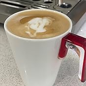 Sage SES880BTR Barista Touch Automatic Espresso Maker, Stainless Steel ...