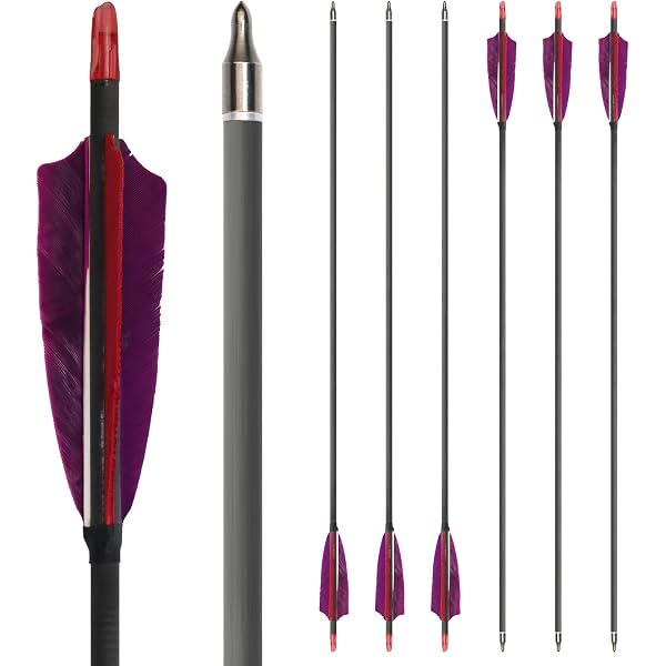 Arco Compuesto DEEPOWER 31 Inch 100% Carbon Arrows With Lighted Nocks ...