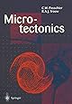 Microtectonics: Passchier, C.W., Trouw, R.A.J.: 9783540587132: Amazon ...