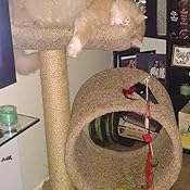 Amazon.com : Molly and Friends "Loft and Round Premium Handmade 2-Tier ...