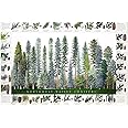 Amazon.com: Northwest Native Conifers Poster and Identification Chart ...