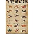 Amazon.com : Curteny Metal Tin Retro Sign Crabs Knowledge Metal Poster ...