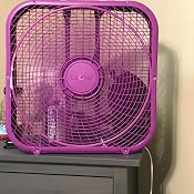 Amazon.com - Lasko Cool Colors 20" Box Fan Durable Metal Frame Purple