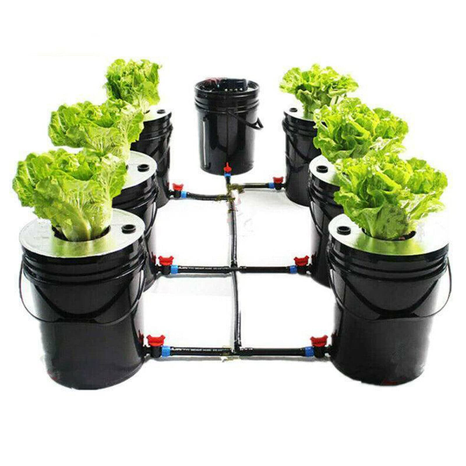 Mua DWC Hydroponics Growing System 5 Gallon 6 Buckets, Multi Barrel ...