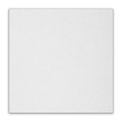 Armstrong Ceiling Tiles; 2x2 Ceiling Tiles - 12 pcs White; Acoustic ...