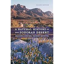 The Geologic Origin Of The Sonoran Desert