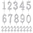 Amazon.com: 20 PCS Birthday Number Candles Silver Cake Metallic Candles ...