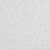 Amazon.com: Armstrong Ceiling Tiles; 2x2 Ceiling Tiles - 16 pcs White ...