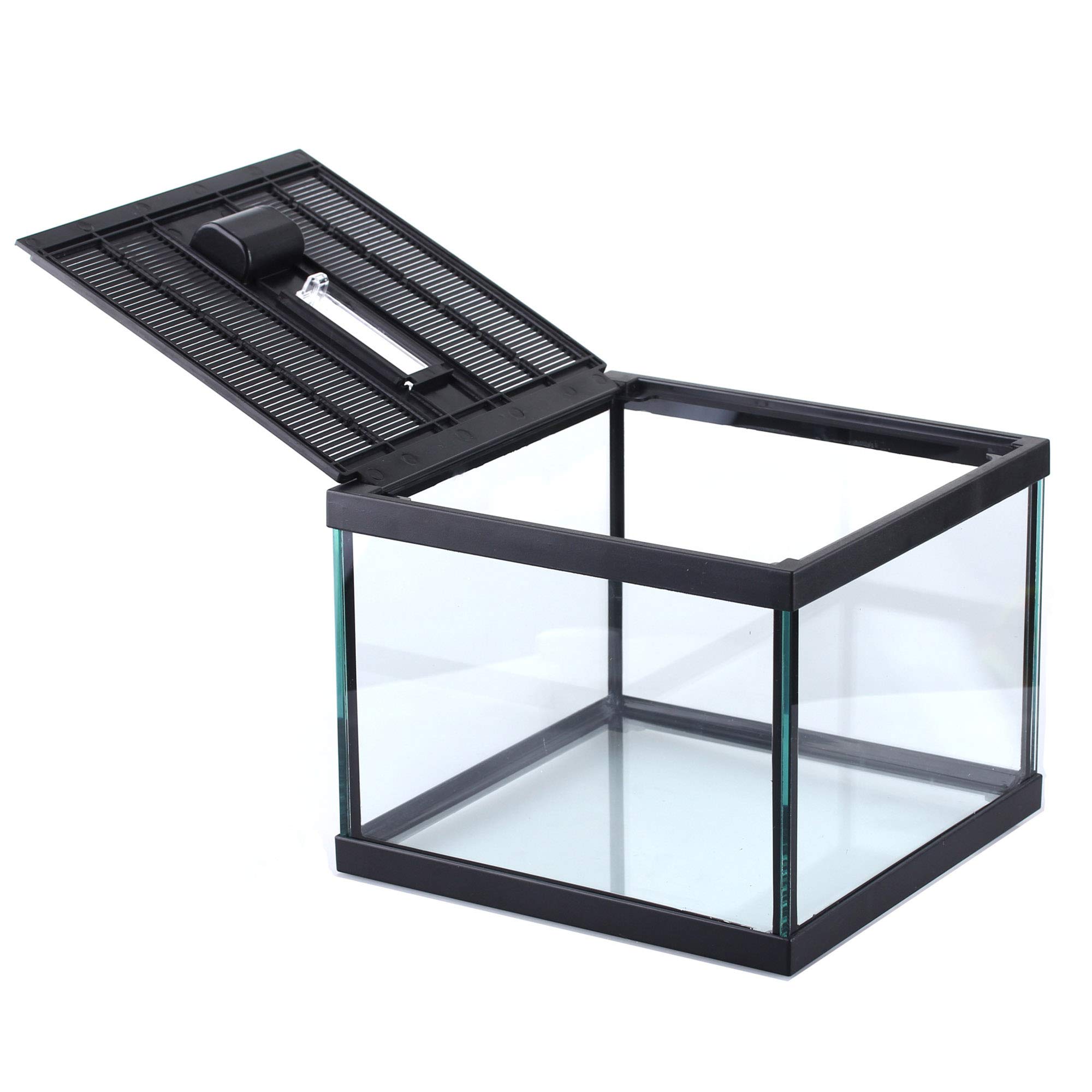 Mua crapelles Reptile Amphibians Terrarium Glass Box for Small pet ...