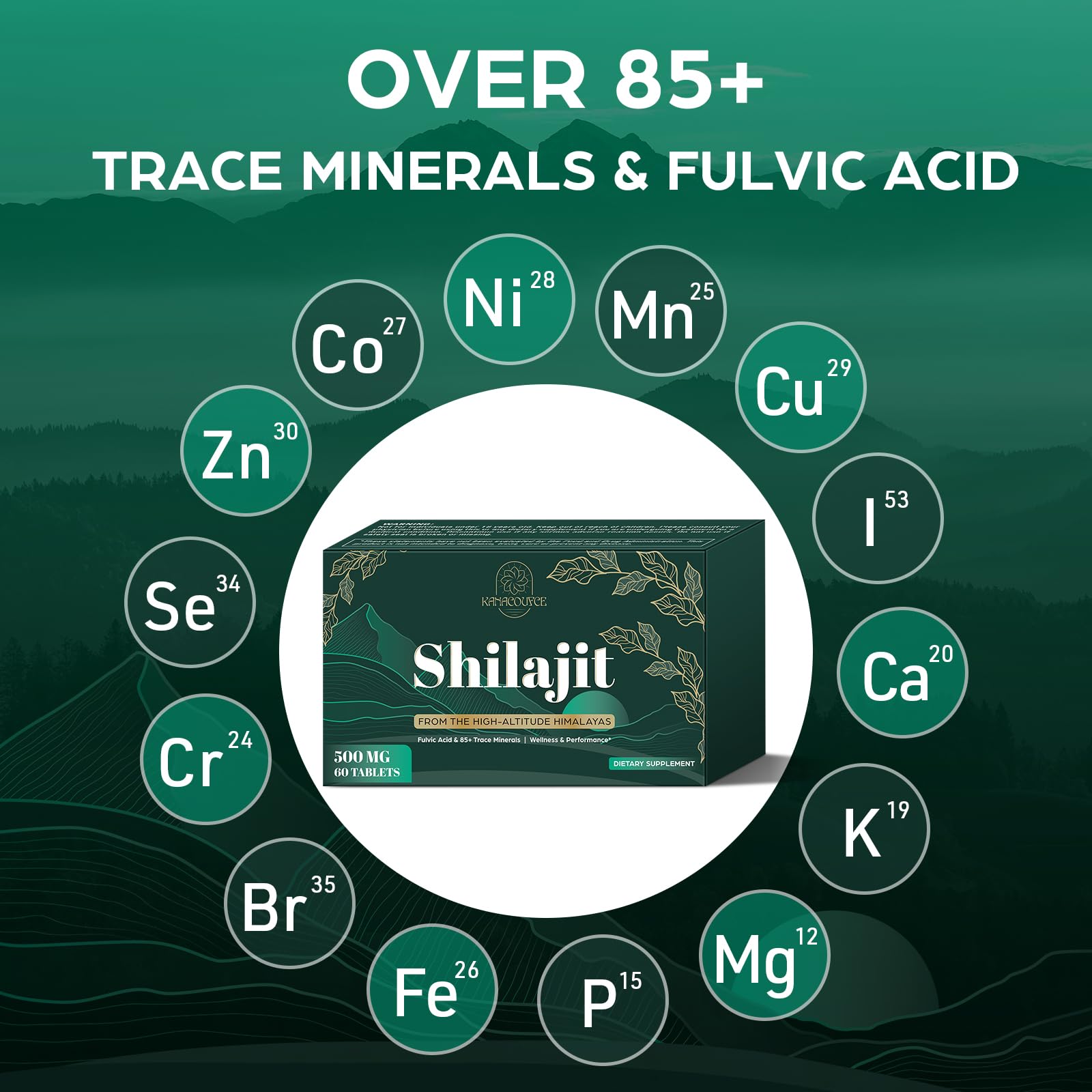 Mua 30,000 MG Shilajit Tablets, Shilajit Himalayan Organic, with Fulvic ...