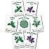 Amazon.com : Basil Seed Packet Collection (8 Individual seed Packets ...