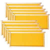 Amazon.com: MayBee Hives-Deep or Brood Size Beehive Frames and ...