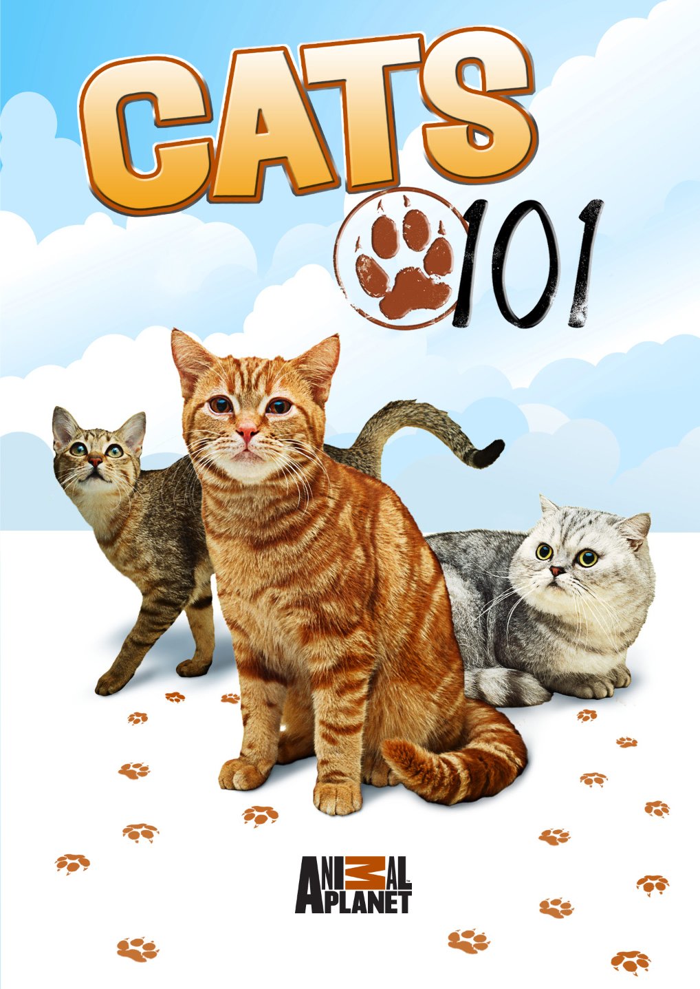 Amazon.com: Cats 101: John Fulton, Kevin Draine: Movies & TV