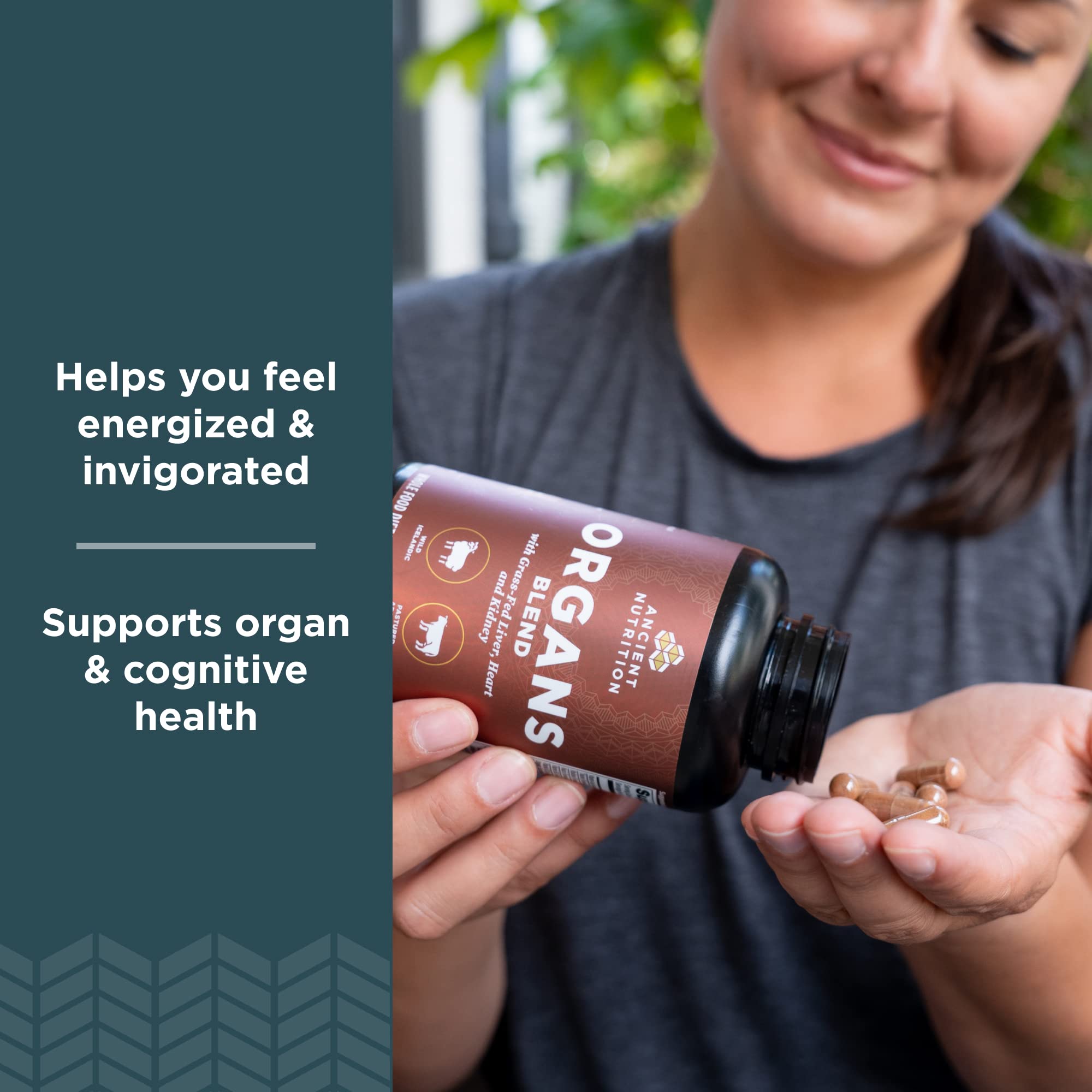 Mua Ancient Nutrition Organ Supplements, Grass-Fed and Wild Organ ...