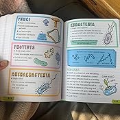 Everything You Need to Ace Science in One Big Fat Notebook: The ...