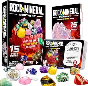 Amazon.com: XXTOYS Kids Rocks Collection - 15-Piece Rock Collections ...