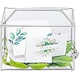 Amazon.com: NCYP Silver Glass Cards Box with Slot and Lock for Wedding ...