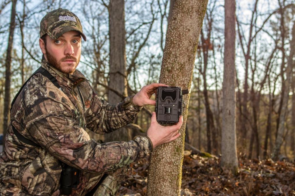 Amazon.com : Bushnell 8MP Trophy Cam HD LED Trail Camera with Night ...