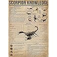 Amazon.com: Scorpion Knowledge Metal Tin Signs Scorpion Reference ...