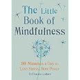 Little Book of Mindfulness: 10 minutes a day to less stress, more peace ...