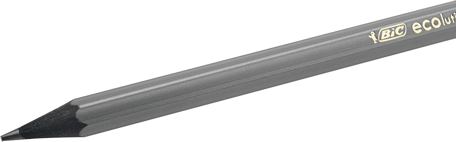 BIC Evolution Black HB Graphite Pencils 4 Pack – BigaMart