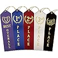 Amazon.com: RibbonsNow Ideal Award Ribbon Set - 14 Total Ribbons - 1 ...