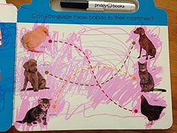 Amazon.com: Wipe Clean: Pen Control (9780312513955): Roger Priddy: Books